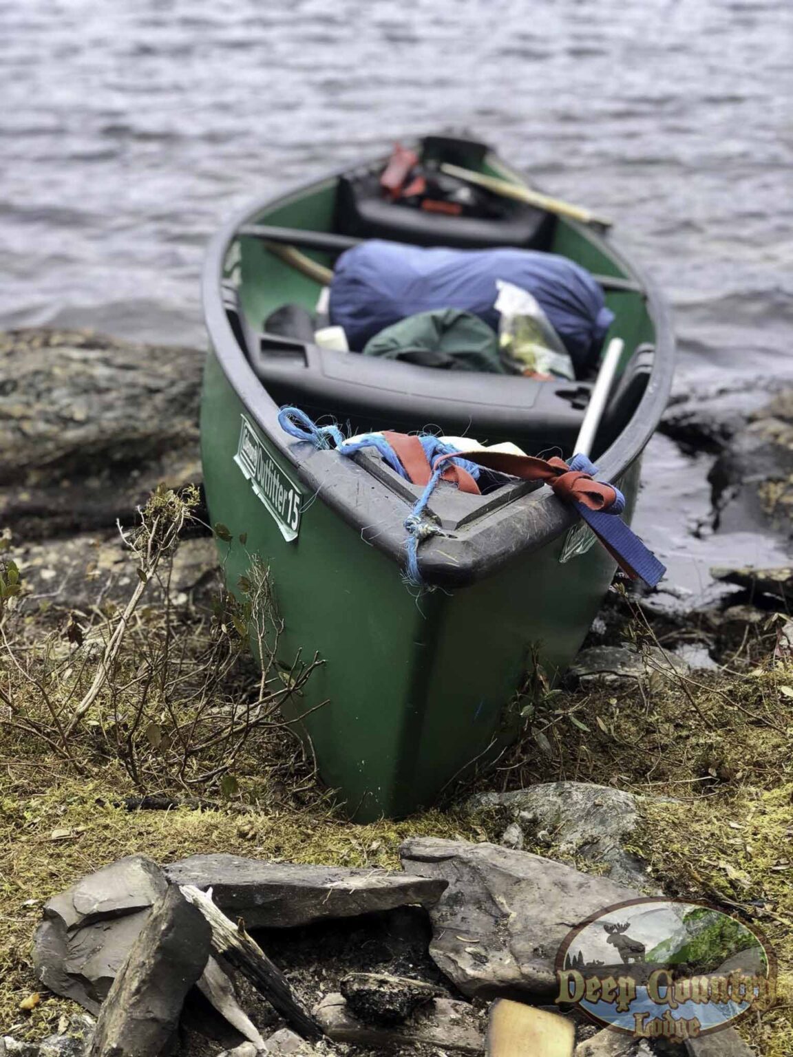 How to Prepare for Your Newfoundland Moose Hunting Trip